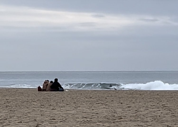 The Pitfire Pizza Company - Yo! Venice!